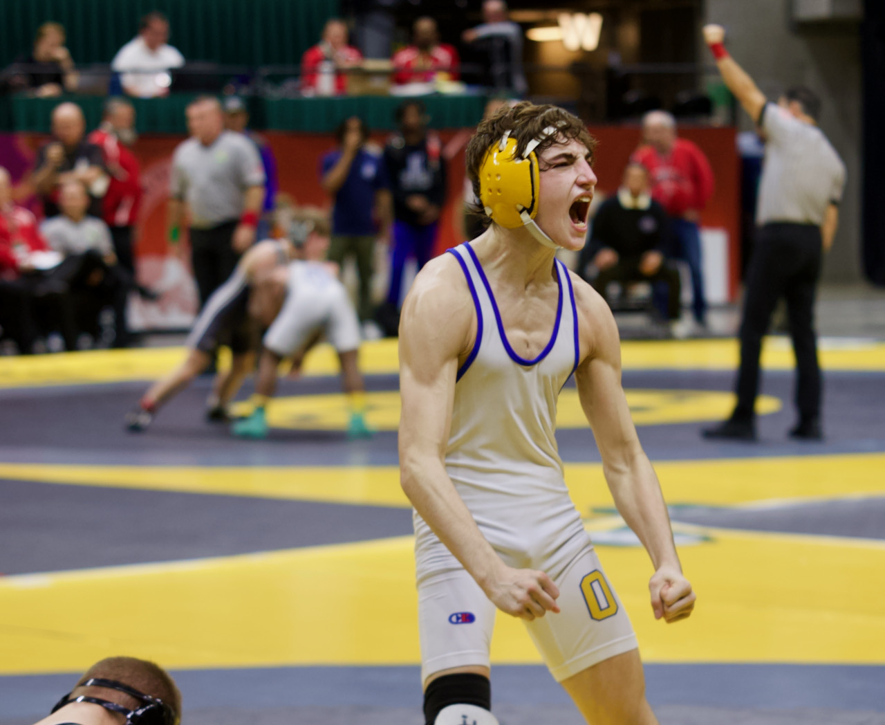 True Grit: Ontario's Ohl, Galion's Harding headed to state wrestling finals