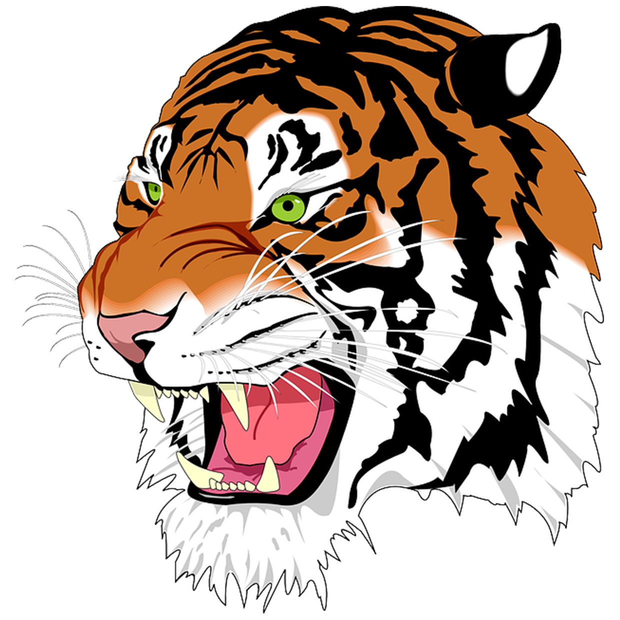 Tygers rally with huge 4th quarter to stun Sandusky, pocket 3rd ...