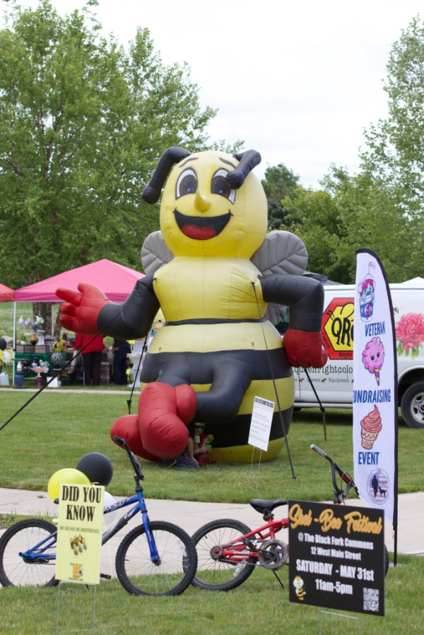 Inaugural bee festival sparks buzz in downtown Shelby