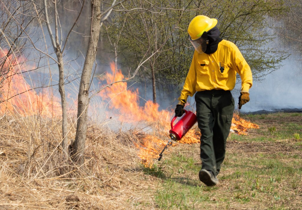 Gorman Nature Center was set on fire, on purpose, by Richland County ...