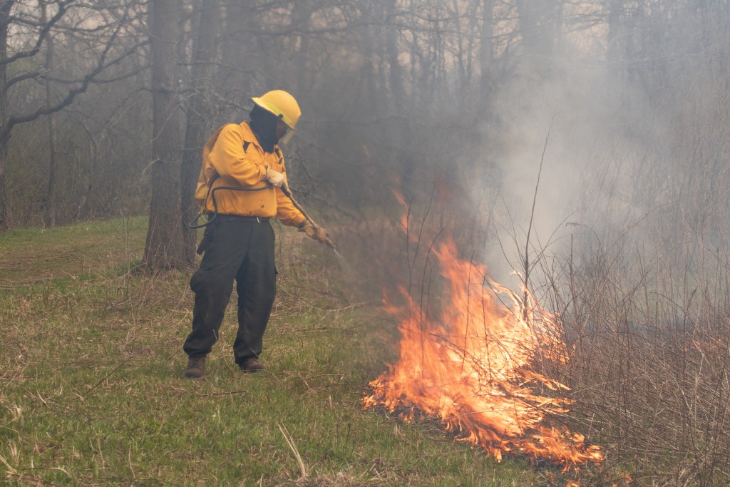 Gorman Nature Center was set on fire, on purpose, by Richland County ...