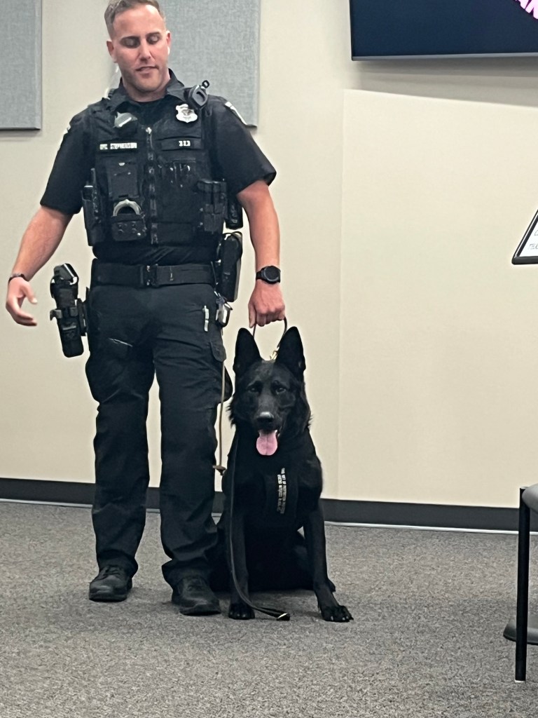 Mansfield police K9 Maxx is back and ready to literally take a bite out ...