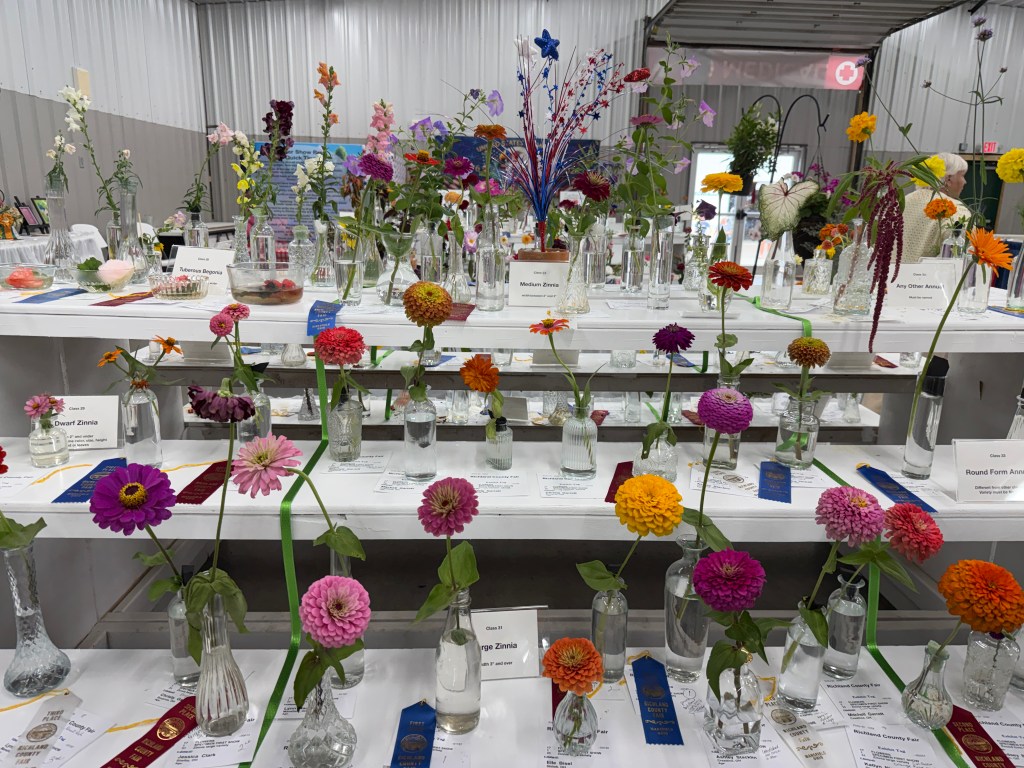 From cakes to quilts to bean mosaics, art takes many forms at Richland ...